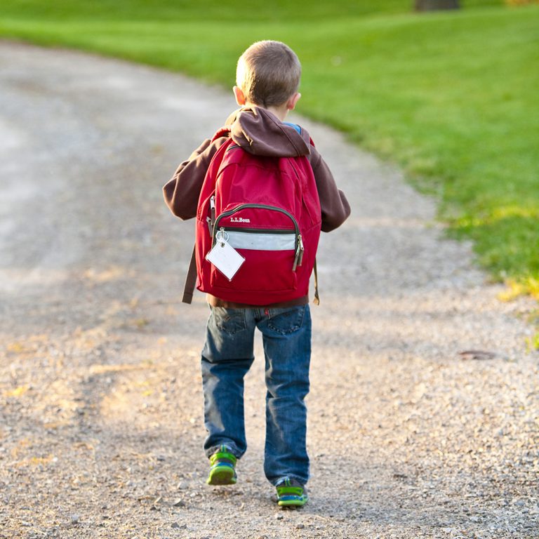 School Zone Speed Camera Tickets - Parking Tickets